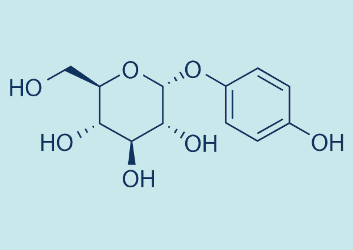 Alpha Arbutin Uses for Skin and How to Use it - The Pink Foundry