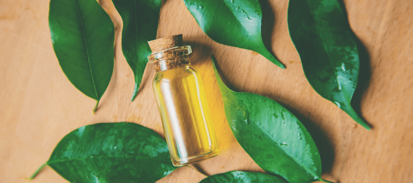 How to Use Tea Tree Oil for Pimples | The Pink Foundry