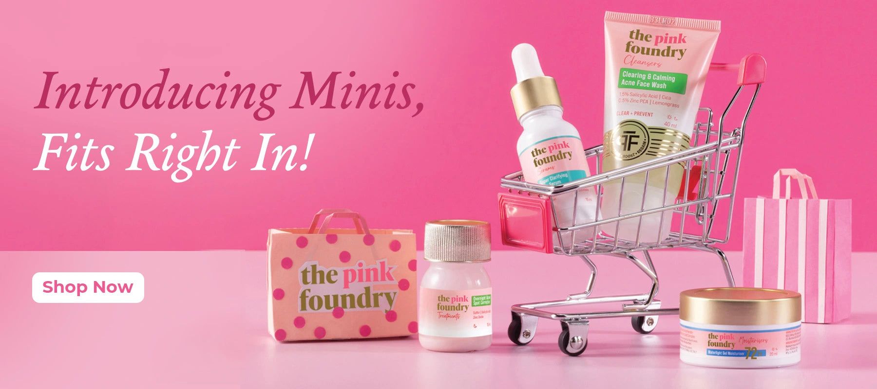 Mini Skincare Products - Shop Travel Minis - The Pink Foundry